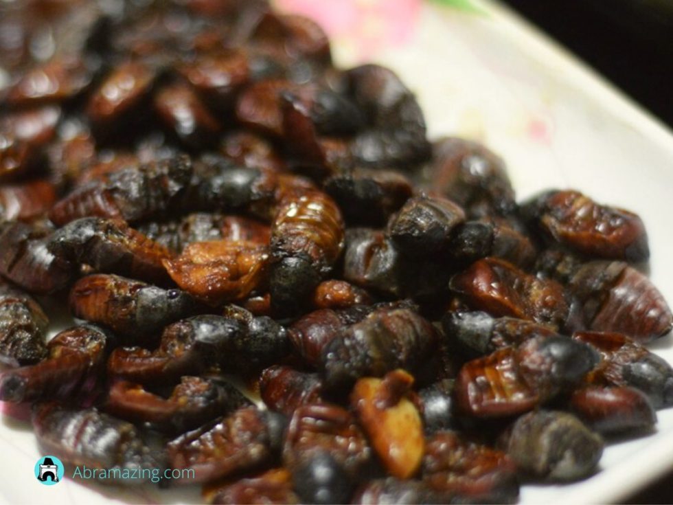 Taste of Abra: Abal-abal - Abramazing